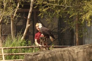 More Than Just a Job: What It Takes to Be a Zookeeper – Little Rock Zoo