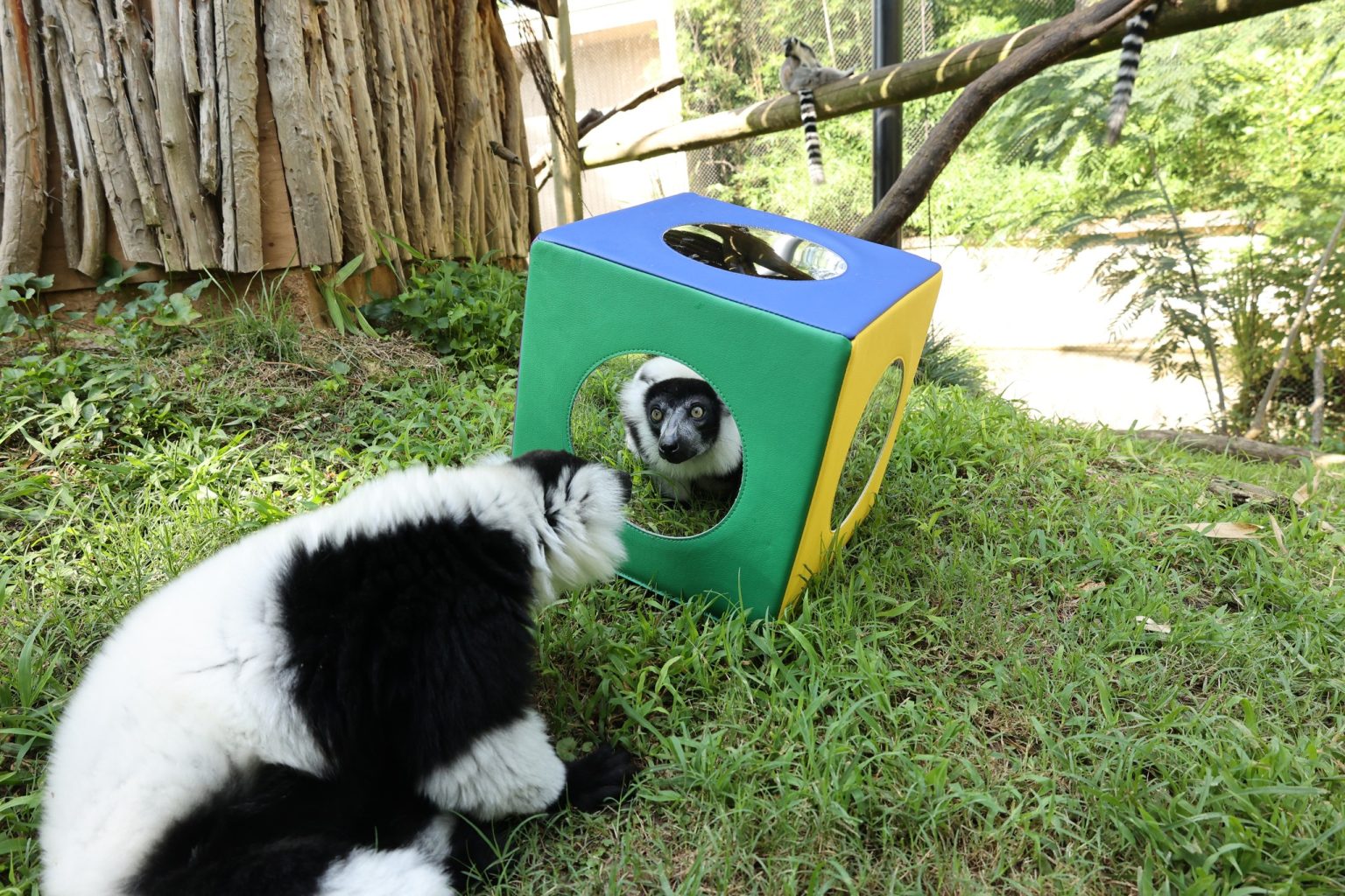 Support – Little Rock Zoo